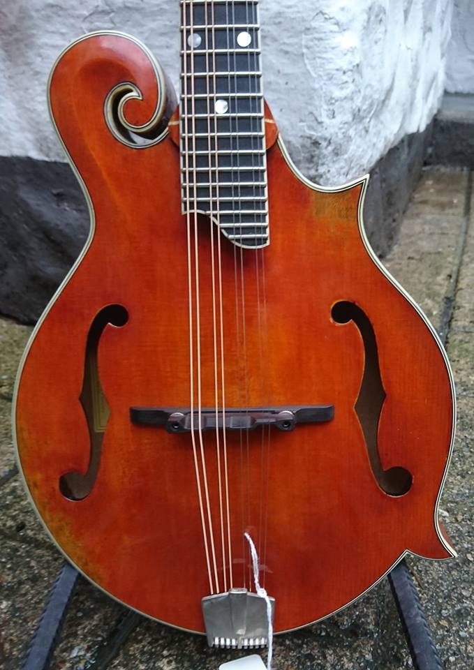 Irish Bouzouki, Loar Mandolin and Recording King Banjo Musical ...